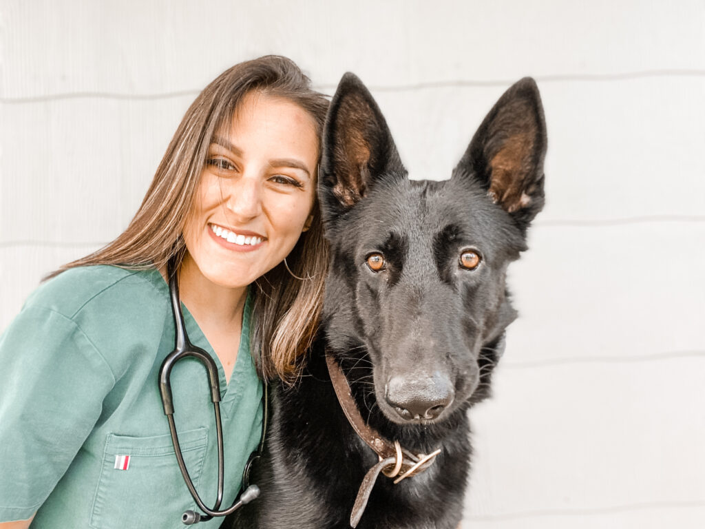 ABOUT - The K9 Doctor